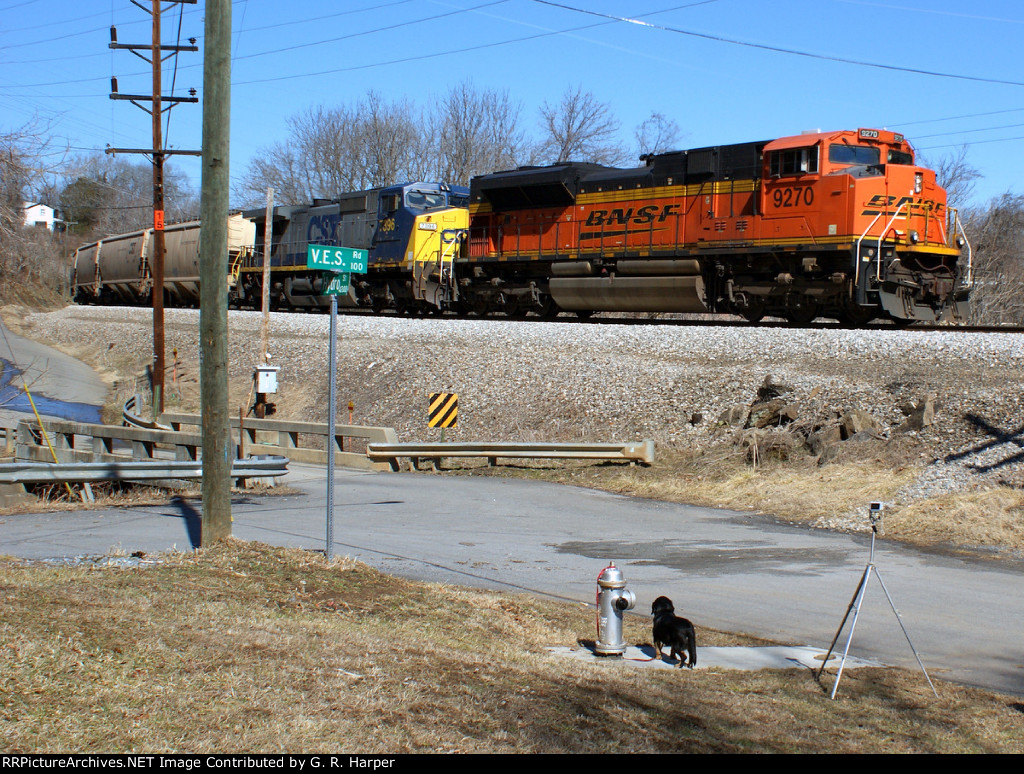 BNSF 9270 leads grain train, G86218, east at the corner of V.E.S. Rd. and Hydro St. My bow wow ...